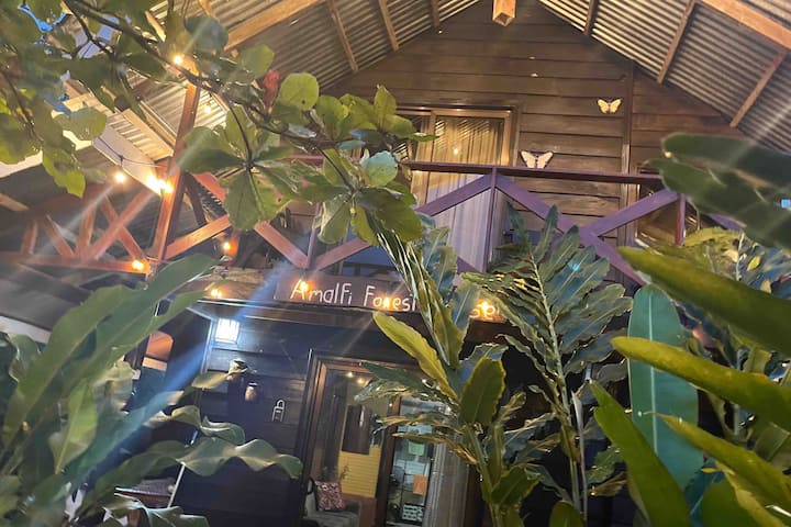 Amalfi Forest House Hot Tub Wi-fi Ac - La Fortuna