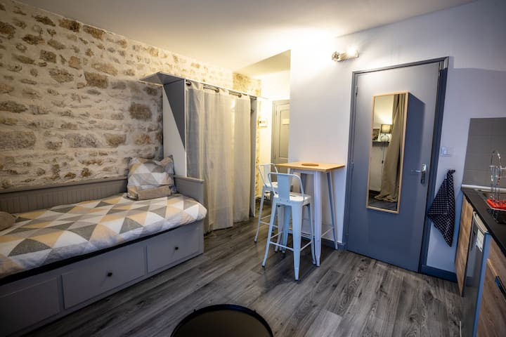 Le Charmant Studio - Gare - Parc - Centre Ville - ibis budget Gare de Poitiers