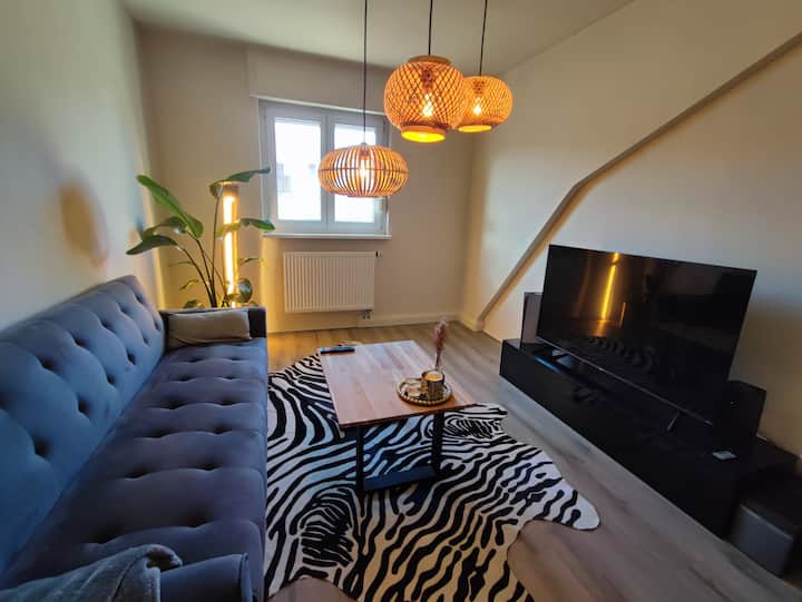 Lovely Condo In The Heart Of Karlsruhe (Near Kit) - Karlsruhe