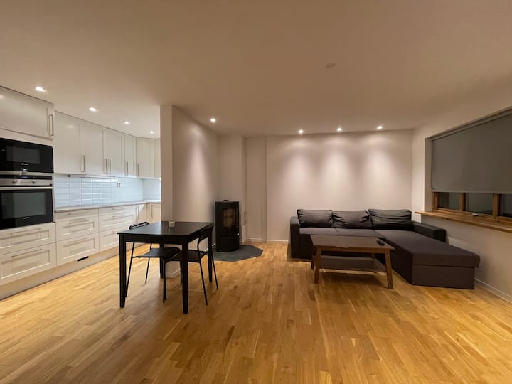Beautiful Apartment With Free Parking/fantoft - 베르겐