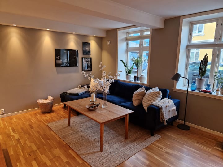Sentral Og Koselig Leilighet - Bergen