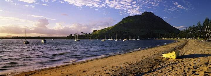 Matapihi, Mt Maunganui - 2 Bedroom Unit - Tauranga