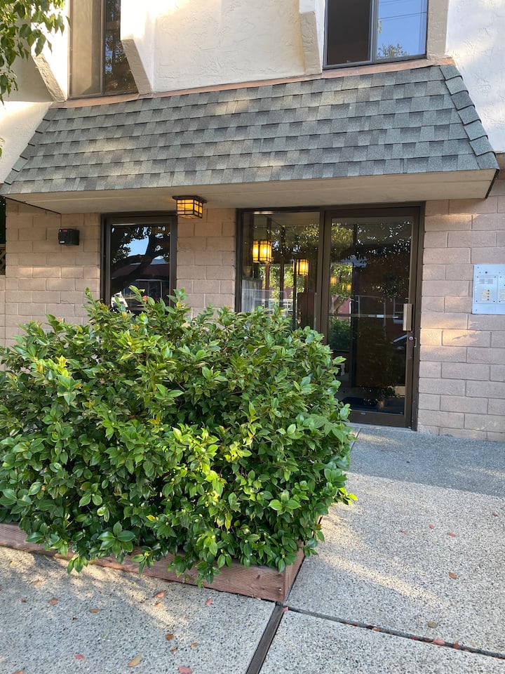 Adorable, Spacious And Comfy - San Carlos, CA