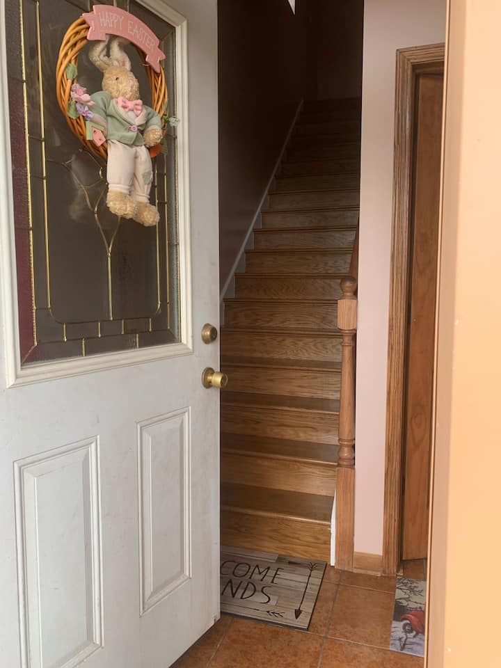 Lory’s Cozy Place! Safe,convinient,15 Min To Loop! - Oak Park, IL