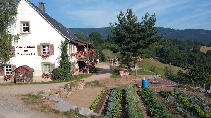 Orbey: Gîte De Séjour Au Calme Avec Vue - Munster, France