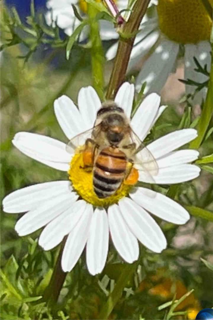 James Roman’s Enigma House - Brunswick, OH