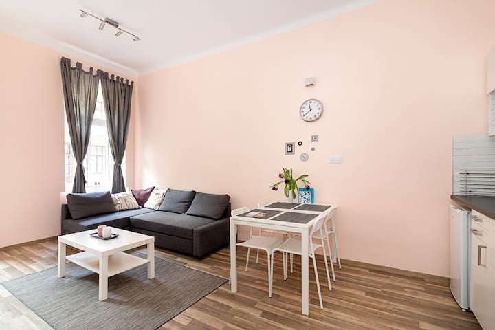 Eleven Rose-sweet Home In The City Center With A/c - Budapest