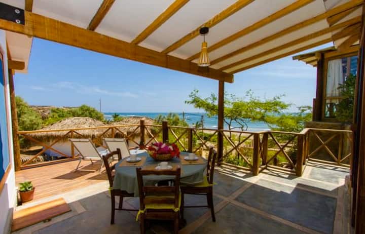 Casa De Los Techos Blancos - Organos