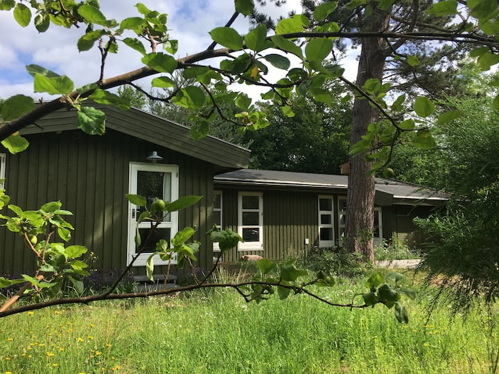 Cozy House - Great Nature - Just 300m To The Sea. - Denmark