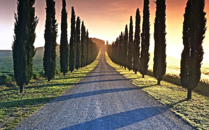 Among The Hills Of Montalcino - Montalcino