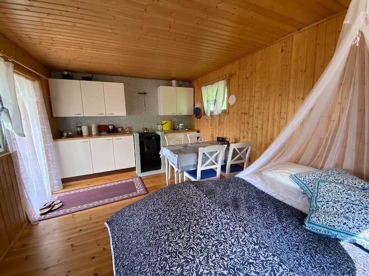 Natural Cottage/sauna By The Lake - 핀란드