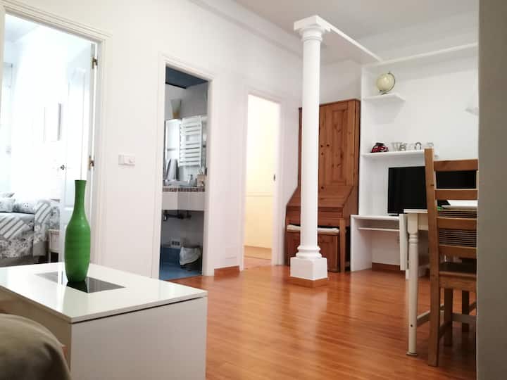 Nice Apartment Close To Retiro Park And Atocha Sta - Madrid