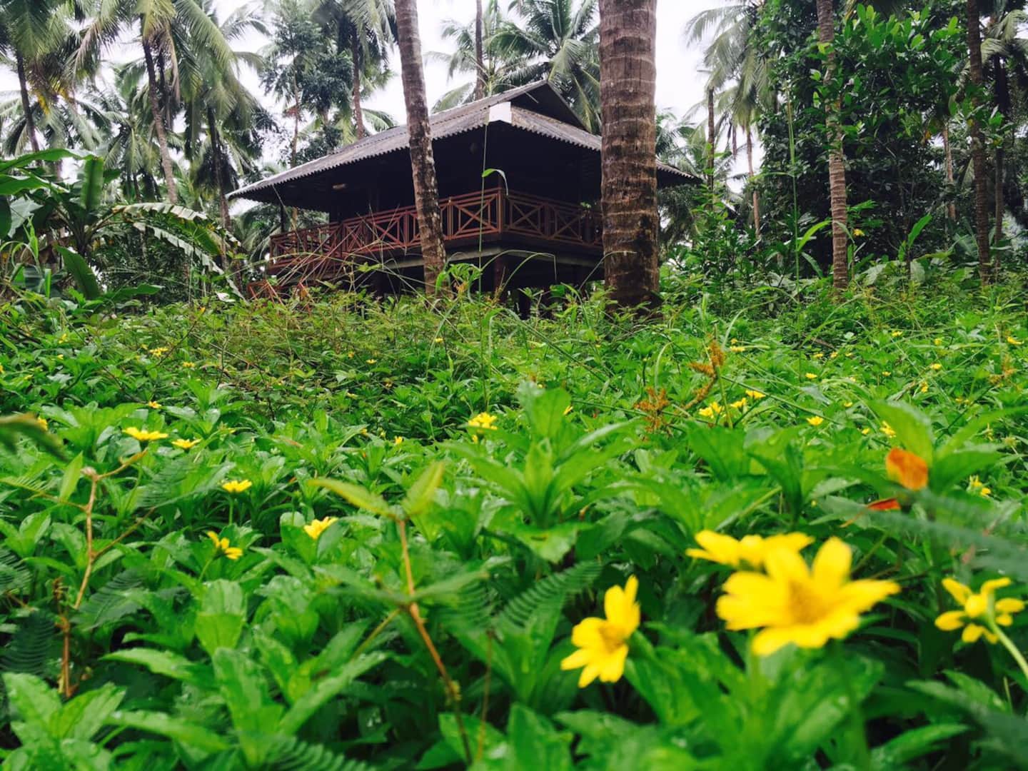 Karnataka Treehouse Holiday Rentals - India | Airbnb