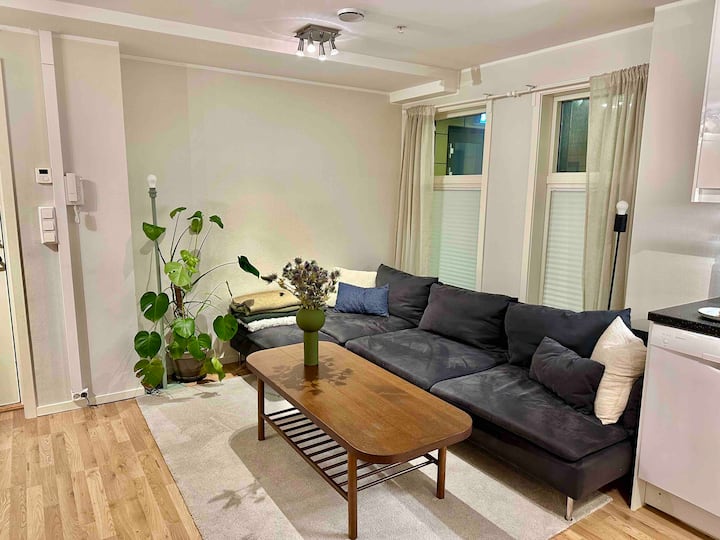 Moderne Leilighet Med Takterrasse I Bergen Sentrum - Bergen, Norway