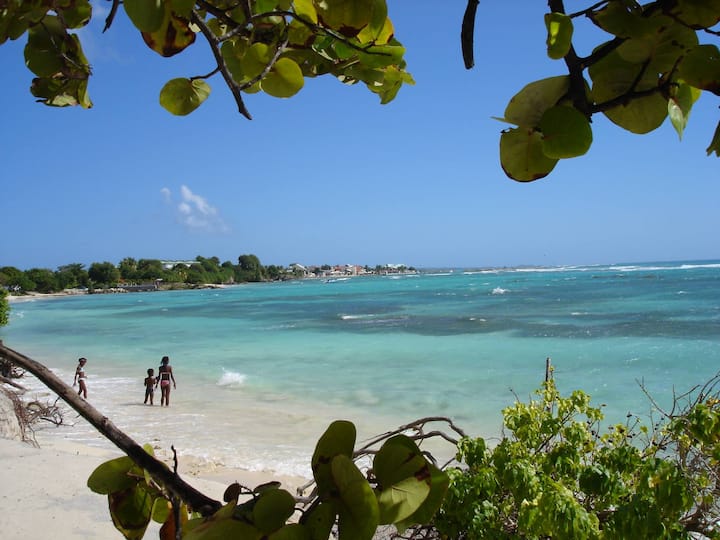 Bungalow Lézilosoleil "Le Balisier" Le Top ! - Guadeloupe