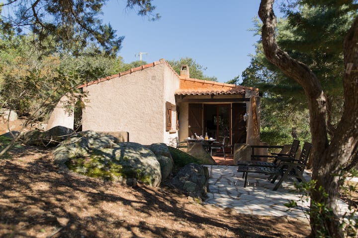 Villa "Folaca" 45m2 4/5 Pers Rondinara Bonifacio - Bonifacio