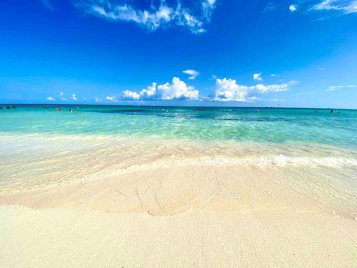Beachoffice Entre La Playa Y La 5a Wifi 80mb - Playa del Carmen