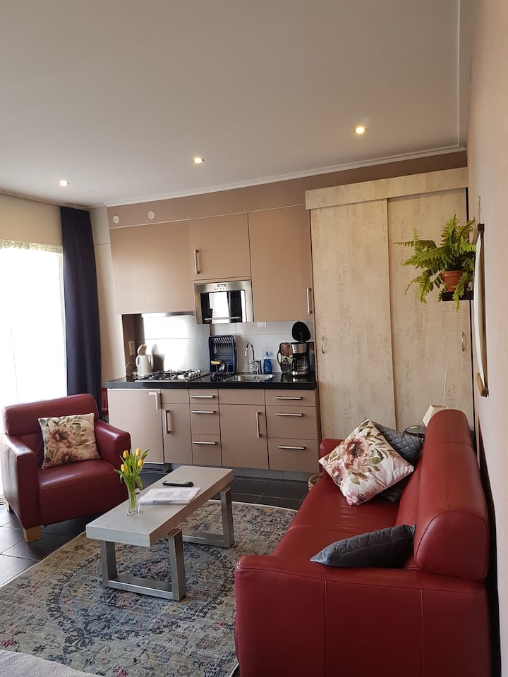 Studio T Hout - Domburg