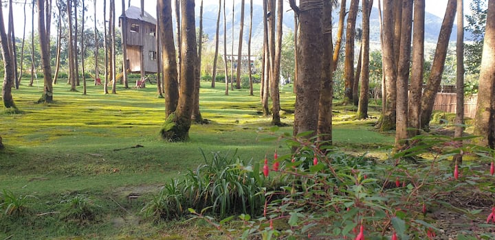 Mitobo - Camp Site La Paillote Gorilla & Farm - Farm stays for Rent in ...