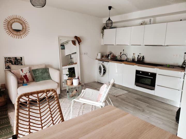 Cosy Appartement Au Calme - Tournefeuille