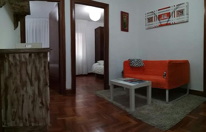 Céntrico Y Acogedor Con Wifi
 L-bi-257 - Basque Country