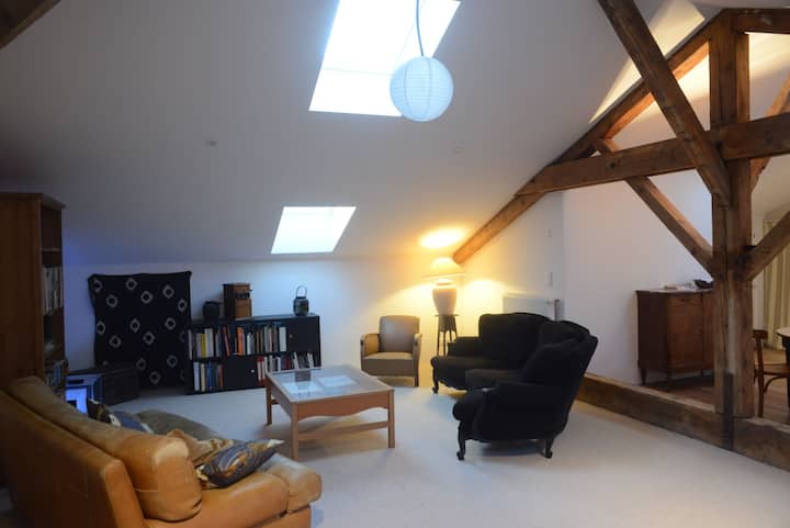 Vaste Loft Sous Les Toits En Coeur De Ville - Chalon-sur-Saône