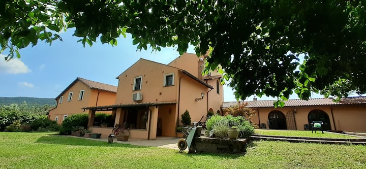 Trilocale Appartamento In Agriturismo - 비테르보