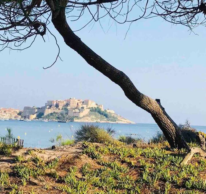 Calvi : Studio Proche De La Plage - Calvi