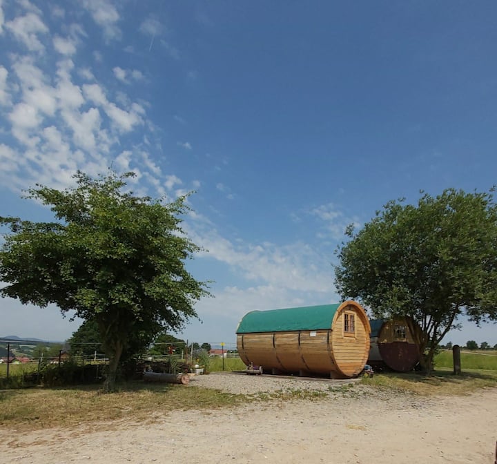 Fass Pascal  Im Grünen Auf Dem Biopferdehof - Melsungen