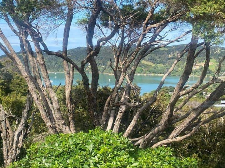 All Day Sun, Magic Views Extraordinary Sunsets - Waiheke Island