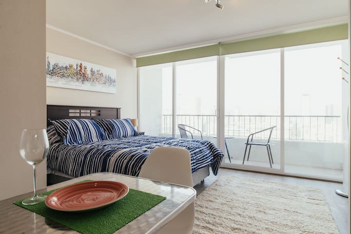 Perfect Located Studio D - Santiago (Chile)