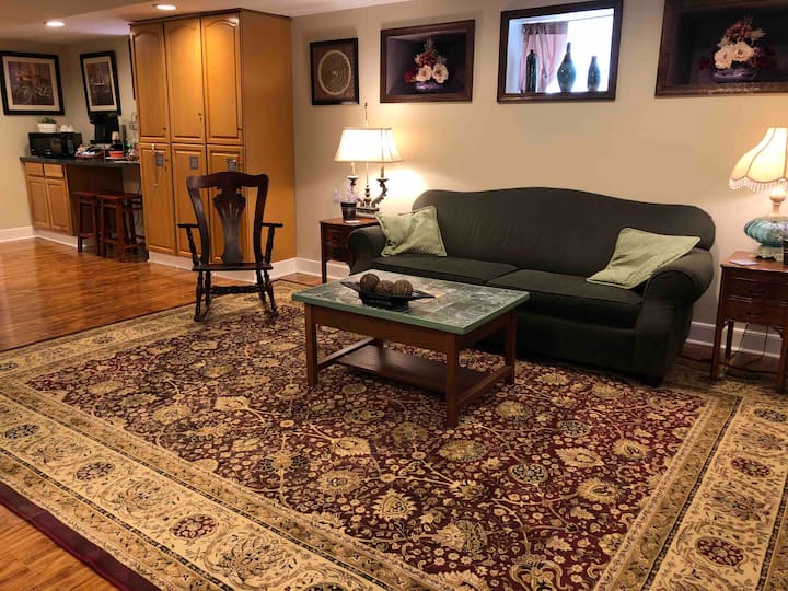 1 Bdrm Apartment 1 Block From Downtown Lewisburg - Lewisburg, PA