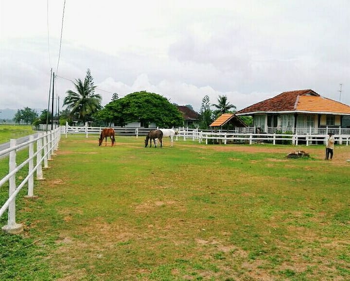 Top 12 Airbnb Vacation Rentals In Perlis, Malaysia - Updated 2025 | Trip101