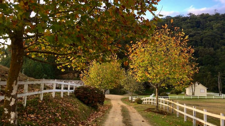 Linda Casa Em Estilo Germânico! Rancho Queimado! - Santa Catarina (estado)