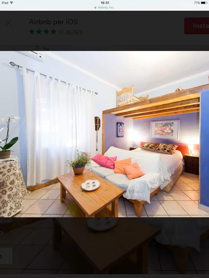 Colourful Room With Garden - Belvedere