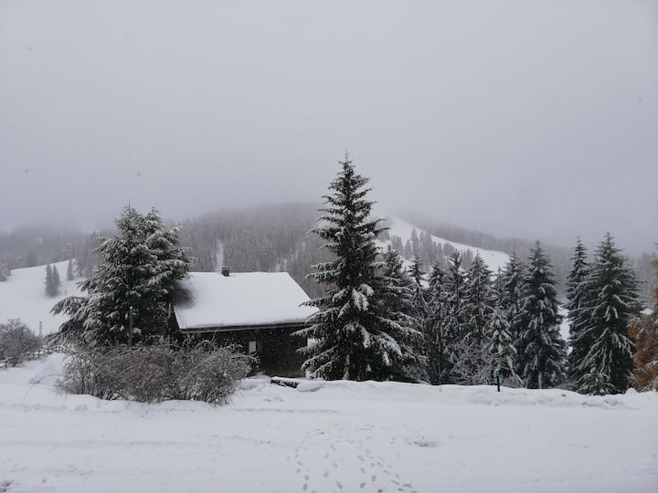 Appartement Valberg 1700 (7 Personnes) - Valberg