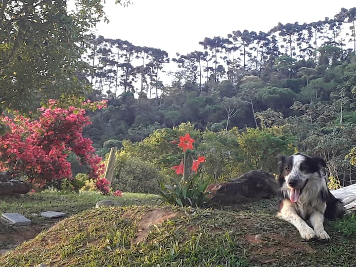 A Casa Da Montanha - Resende
