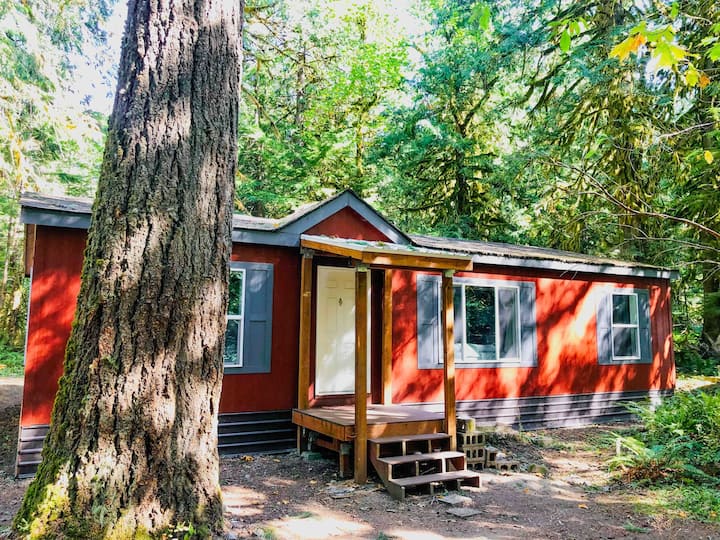 Cozy Family-friendly Forest Escape Near Mt Hood - Rhododendron, OR