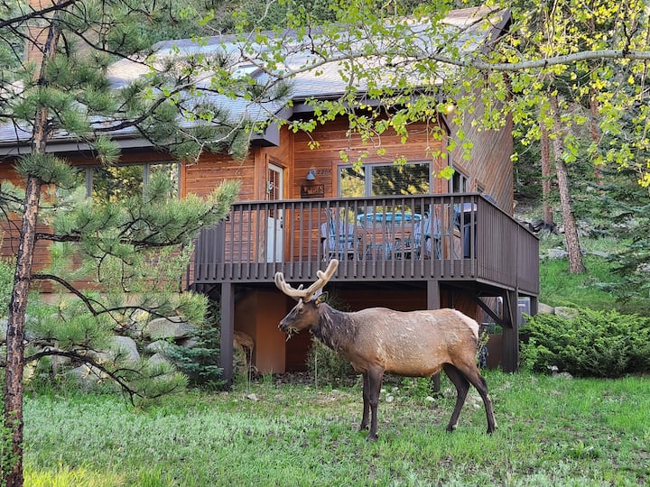 Bierhaus Cabin Walk To Rmnp, River Access! A/c. - Estes Park, CO