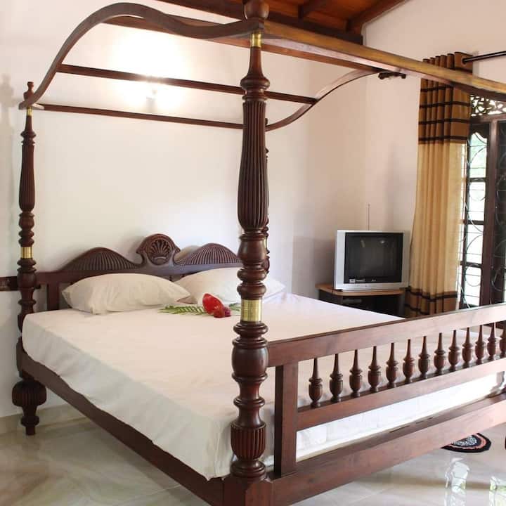 Nethu Villa - Bentota