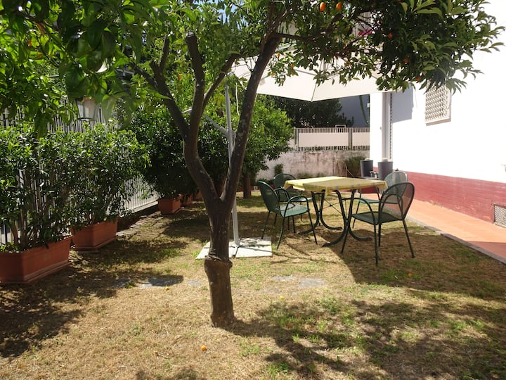 Apartment With Garden Near The Beaches - Pozzuoli