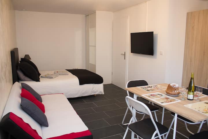 Chaleureux Studio à Colmar (Parking Et Terrasse) - Colmar