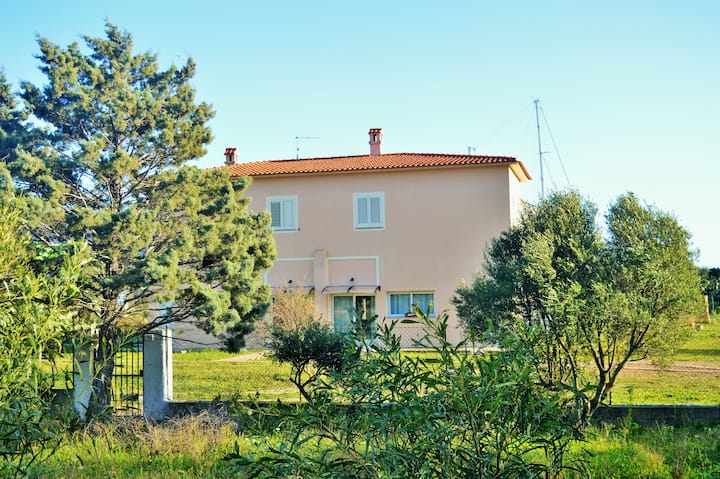 A Mezzogiorno - Golfo Aranci