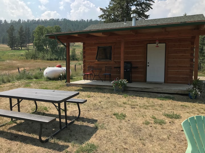 Cute And Cozy Cabin - Invermere