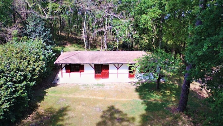 Maison  Landaise Typique Entre Lac Et Océan - Parentis-en-Born