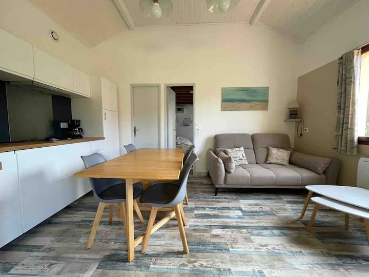 Petite Maison Sanguinet - Sanguinet