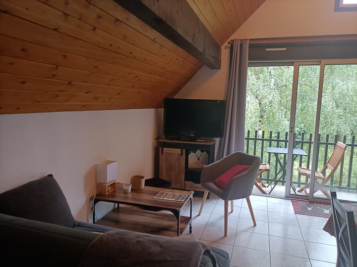 Appartement Cosy Au Coeur Du Village De Saint-lary - Saint-Lary-Soulan