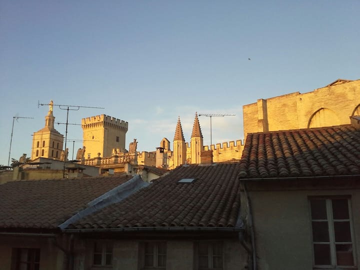 2 Pieces, Magnifique Vue Palais Des Papes - 亞維農