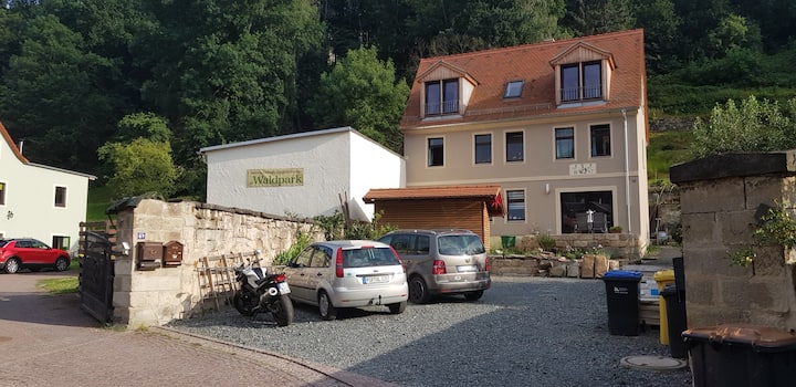 Ferienwohnung  Salamander - Pirna