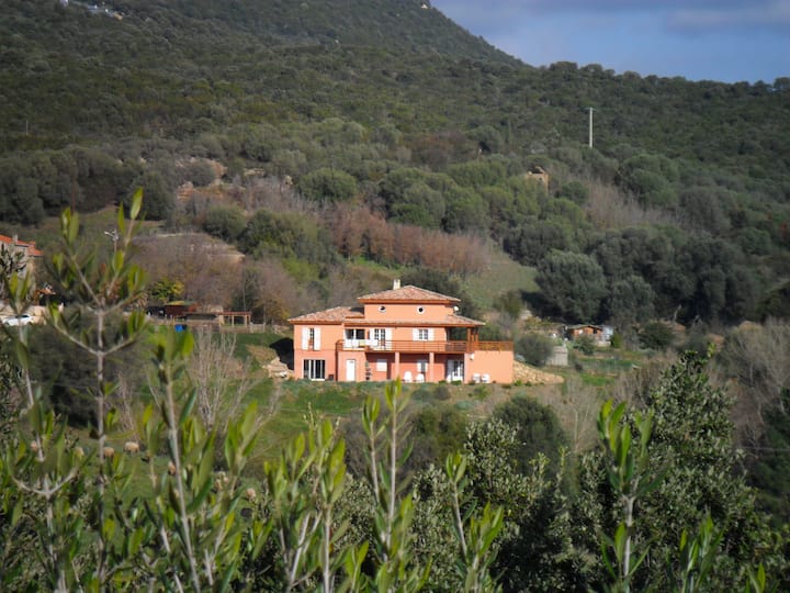 Villa Standing Piscine 16 Couchages Proche Plages - Olmeto